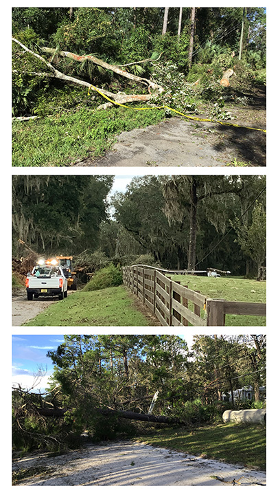 Conexon Fiber Broadband Models ‘Weather the Storm’ | Conexon